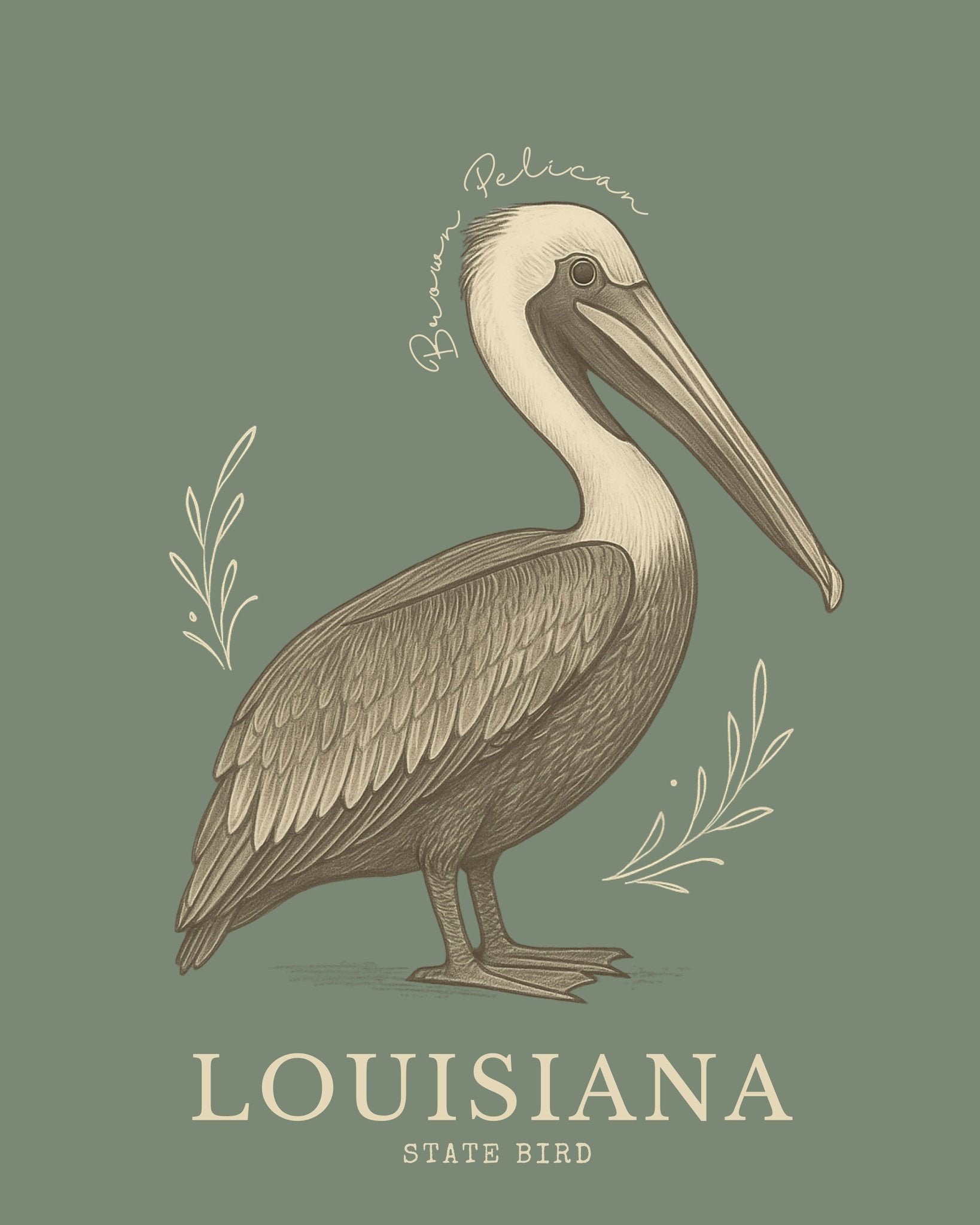 Louisiana Pelican – Poster Master