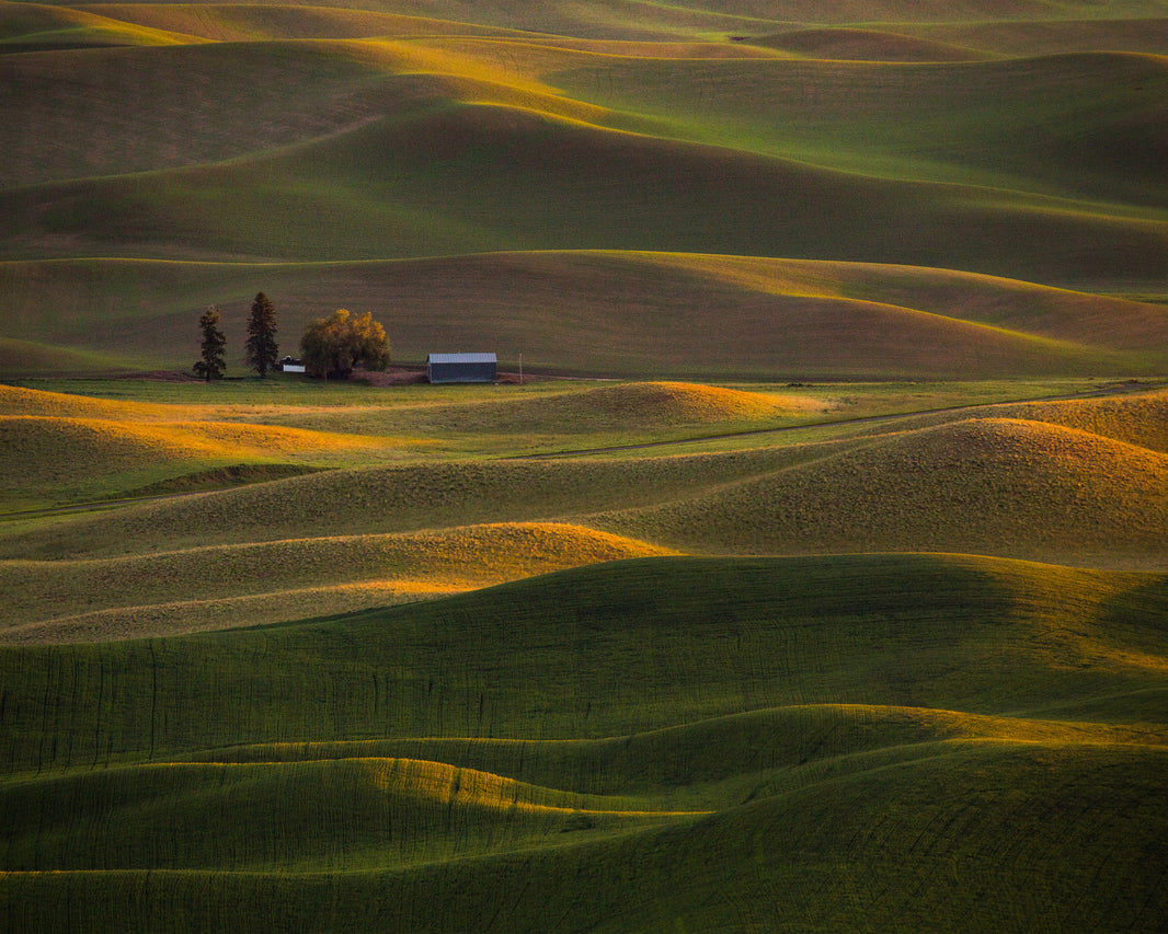 April Xie – Poster Master